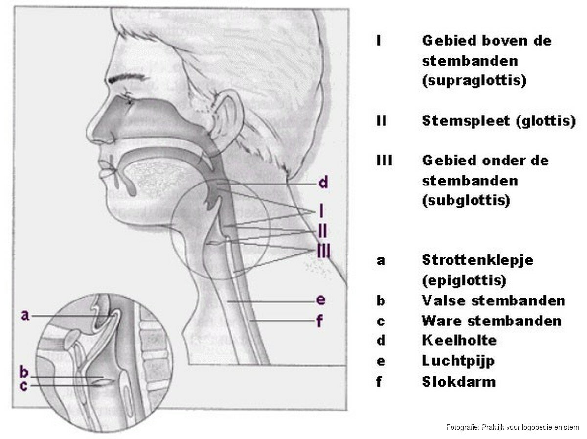 De oudere stem wijs gebruikt Presbyfonie of Bowing