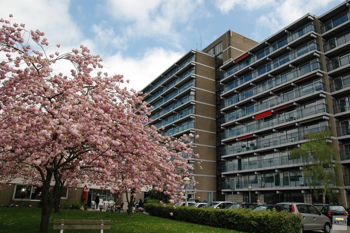 Zomerbraderie in Zorgcirkel Jaap van Praag - Purmerendsdagblad.nl